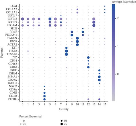 Definition Of Cell Groupings A Clustering Map Of Single Cell At 0 3 Download Scientific
