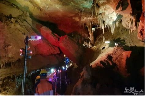 동해 천곡황금박쥐동굴 가상현실 세계로 초대 노컷뉴스