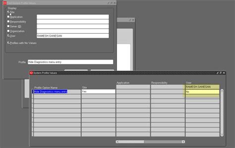 How To Enable Diagnostics In Oracle Applications R12 Dba365