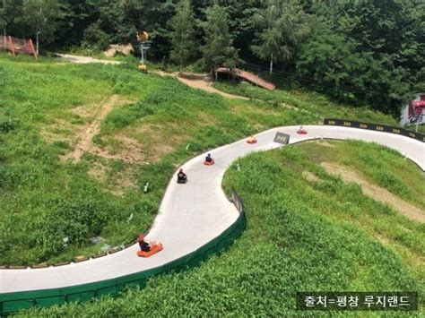 쌩쌩 달려보자…전국 루지 체험 명소 4 여행플러스