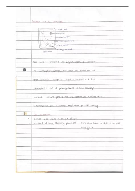 Summary Gcse Biology Double Award Science Notes Biology Stuvia Uk