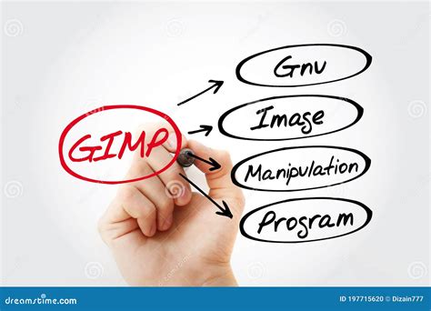 Gimp Gnu Image Manipulation Program Acronym Concept Background Stock