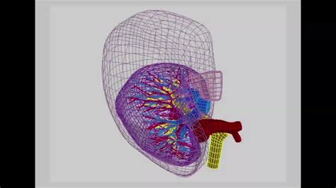 Asvide A Concept Video Of Thoracoscopic Segmentectomy Of The Lateral