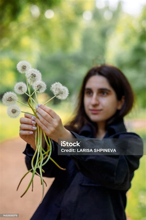 흰 민들레의 화환 단계별 지침 2 단계 하얀 통풍이 잘되는 민들레 꽃의 꽃다발을 들고있는 여성 땋은 머리에 대한 스톡 사진 및 기타 이미지 Istock