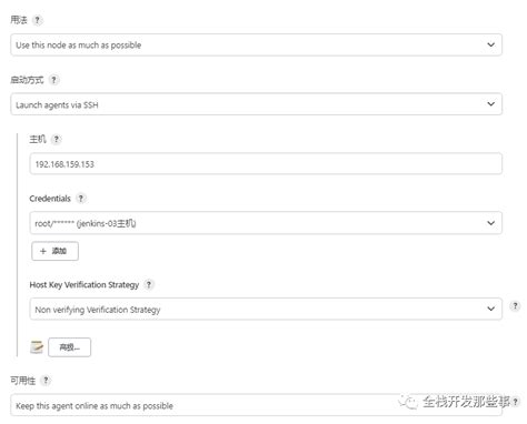Jenkins集群配置 并发构建 极客之音