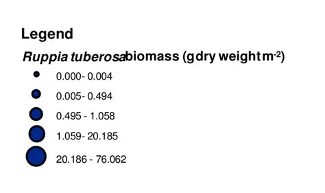 Map Of The Coorong Showing Mean Ruppia Tuberosa Biomass G Dry Weight Download Scientific