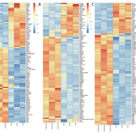Heat Map Analysis Of Differentially Expressed MRNAs A Heat Map
