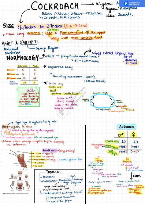 Solution Cockroach Flowchartneet Studypool