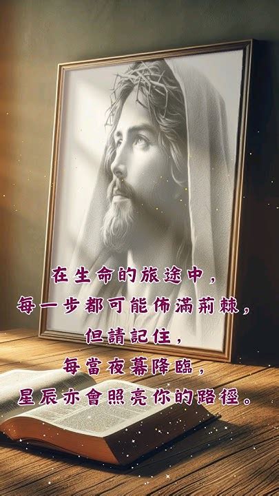 在生命的旅途中，每一步都可能佈滿荊棘，但請記住，每當夜幕降臨，星辰亦會照亮你的路徑 感謝耶穌 聖經新譯本 信望愛聖經資源中心 约翰福音