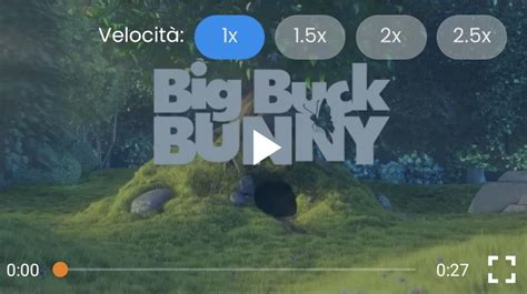 Cannot Customize Fullscreen Icons · Issue 726 · Ihmpavelexpo Video Player · Github