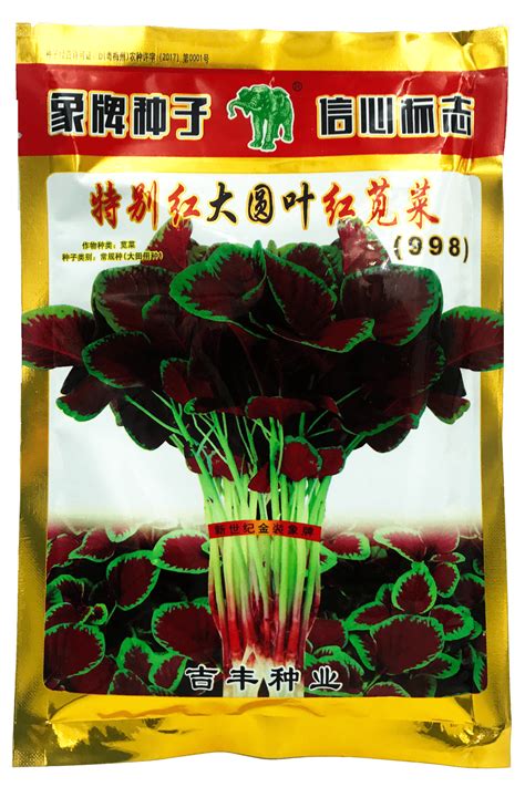 耐抽苔耐热的红苋菜品种好吃还容易种特别适合现在种哦 种植 栽培 口感