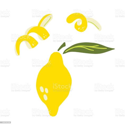 레몬 가지 이국적인 열대 노란색 감귤류 신선한 과일 녹색 잎과 껍질 벡터 만화 미니멀 리즘 스타일 고립 된 일러스트레이션 인쇄 또는 배너 라벨 또는 포스터 스티커를 가진