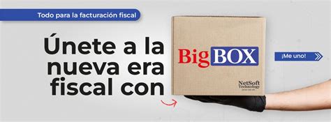 Netsoft Technology Redes Y Electrónica Especializados En Servicios De Desarrollo Y Sistemas