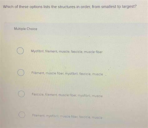 Solved Which Of These Options Lists The Structures In Order From