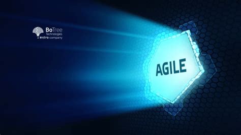 Top Reasons To Adopt The Agile Software Delivery Approach