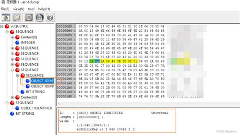 X509证书中的subject Public Key Infosubjectpublickeyinfo Csdn博客