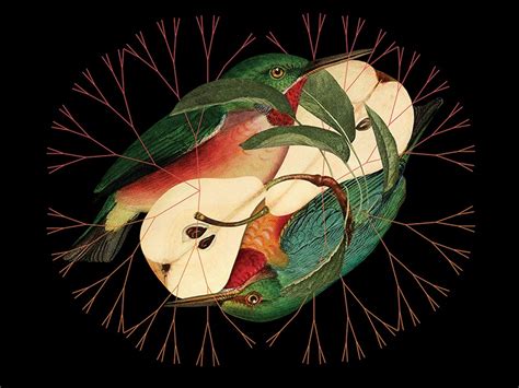 Sex By Iulia Fedorovych On Dribbble