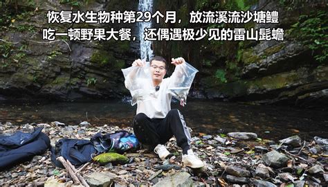 恢复溪流水生物种第29个月今天放流沙塘鳢还偶遇了极其稀少的冷水髭蟾 爱野钓的小范 爱野钓的小范 哔哩哔哩视频