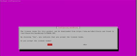 Step By Step Process To Install Sql Tools On Ubuntu Server Running Without Internet Offline
