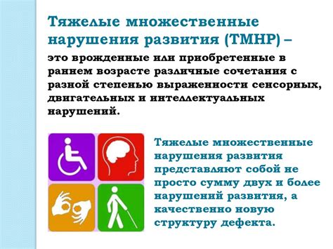 Коррекционно развивающее сопровождение обучающихся с тяжелыми множественными нарушениями