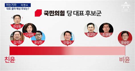 아는 기자 국힘 당대표 출마 예상 후보결선투표제 윤심 겨냥