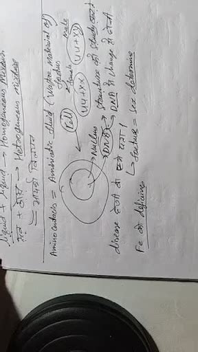 Amniocentesis A Foetal Sex Determination Test Based On The Chromosom