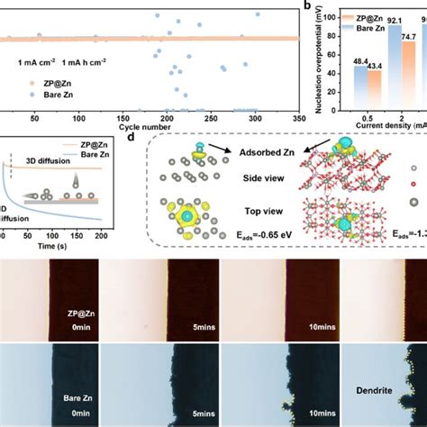 Characterization Of Zn Nucleation And Deposition Behavior A Ces Of Zn Download Scientific