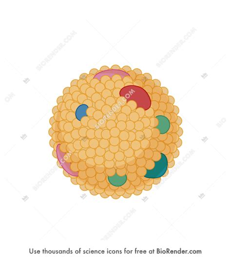 Free Lipoprotein Hdl Icons Symbols And Images Biorender