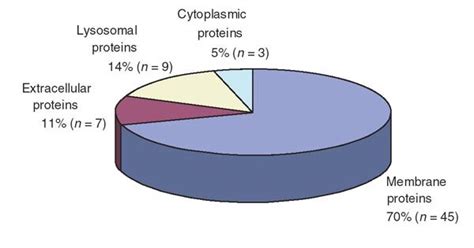 Subcellular Location Of Glycoproteins Identified From A Crude Subcellular Location Of Glycoproteins Identified From A Crude