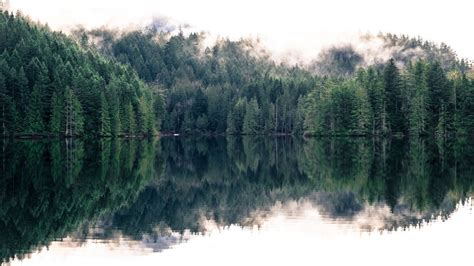 Завантажити шпалери на робочий стіл ПК Природа Озеро Ліс Туман Земля Рефлексія