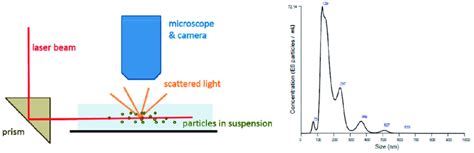 The Principle Of Nanoparticle Tracking Analysis Nta And Its Obtained Download Scientific