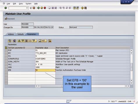 青蛙SAP分享 Froggy s SAP sharing Parameter ID MM PUR EFB Function