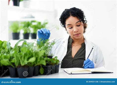 Collecting And Analyzing Data A Female Scientist Making Notes While