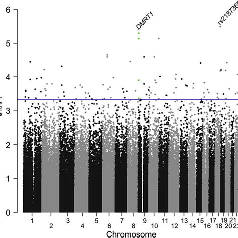 Genome Wide Interaction Analysis Between Sex And Polymorphisms On Download Scientific Diagram