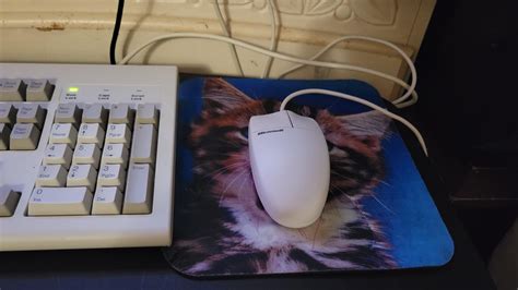 Wip Win 98 Setup R Windows98