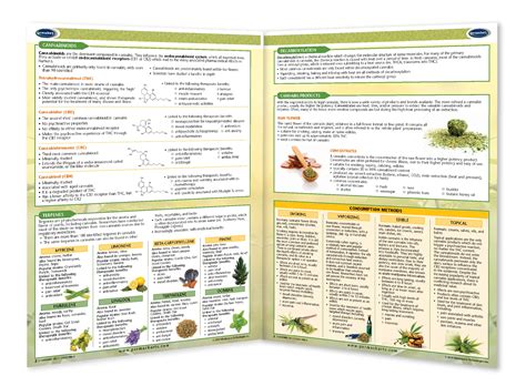 Cannabis 101 Quick Reference Guide Cannabis Educational Series