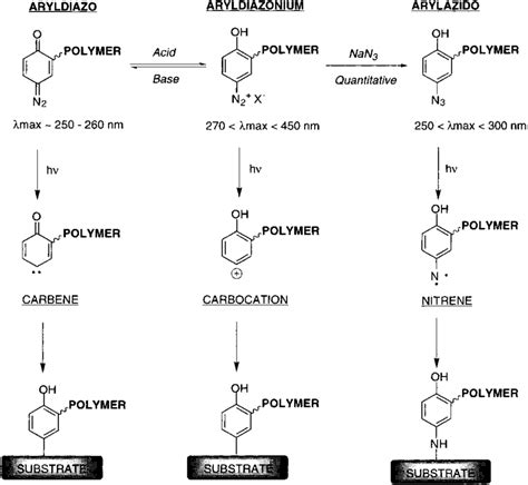 Schematic Representation Of The Photochemical Processes Involved In The