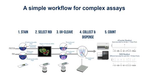 NanoString GeoMX Digital Spatial Profiler DSP CCR Genomics