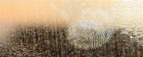 Easily Retrieve Sha Fingerprints With Gradle Signingreport Task For