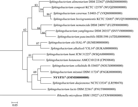 phylogenetic tree inferred using ubcgs concatenated alignment of 92