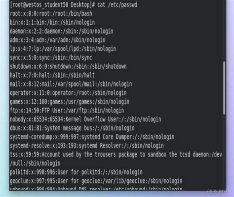 linux4 0 linux系统中的用户管理 csdn博客