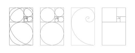황금 비율 템플릿입니다 방법 황금 단면 세트 피보나치 배열 숫자 조화 비율 패턴 윤곽선 그래픽 그림입니다 피보나치 무늬에 대한 스톡 벡터 아트 및 기타 이미지 Istock