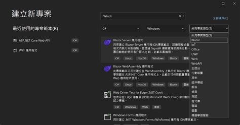 建立您的第一個 WinUI 3 專案 教學 Project Reunion