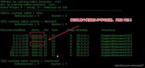 isis协议详解 csdn博客
