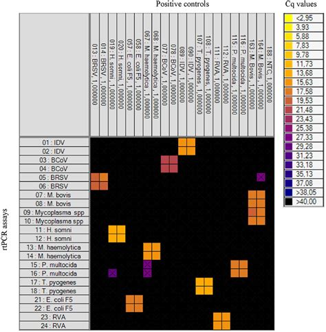 Frontiers Design Of A High Throughput Real Time Pcr System For