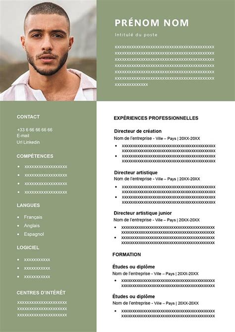 Mod Le Cv Powerpoint Gratuit T L Charger