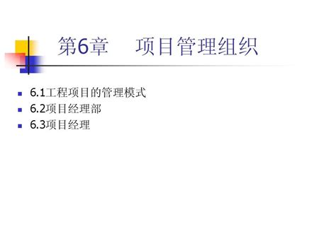 第6章 项目管理组织 Word文档在线阅读与下载 无忧文档