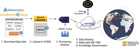 Developments Of The Meta Xcms Framework To Enhance Archival