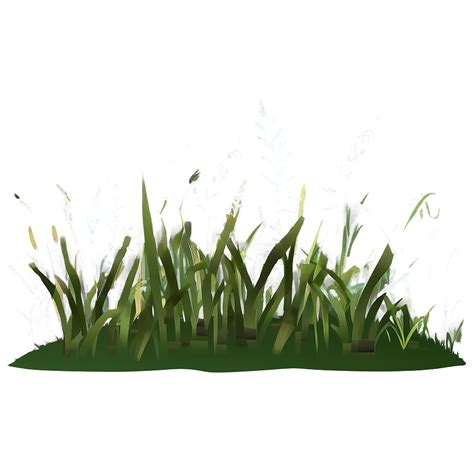 Download Hand Drawn Grass Illustration Png Xek