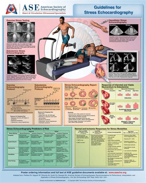 The Heart 🔴ase Guidelines For Stress Echocardiography ⤵️ 🔹dobutamine